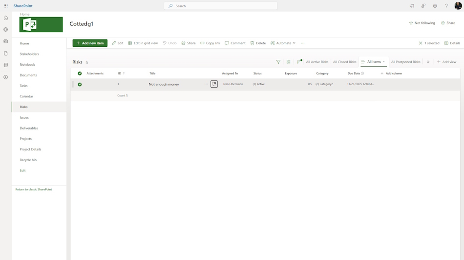 Project risks register in MS Project Server